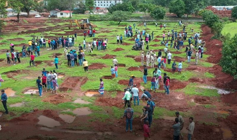 Goa-Tamnar Transmission Project implements extensive afforestation ...