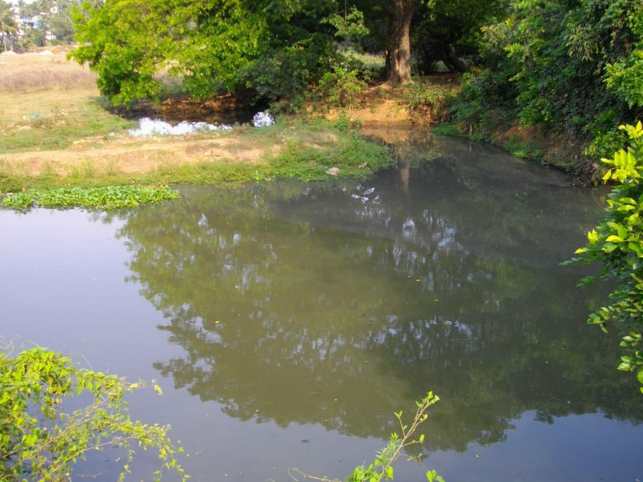 River Sal - Only filth and dirt lies in this lifeline of South Goa ...