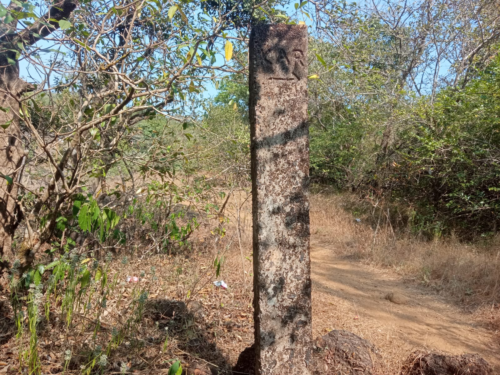 While Goan Politicos Engage in Mud-Slinging, Karnataka Bends Mhadei to ...