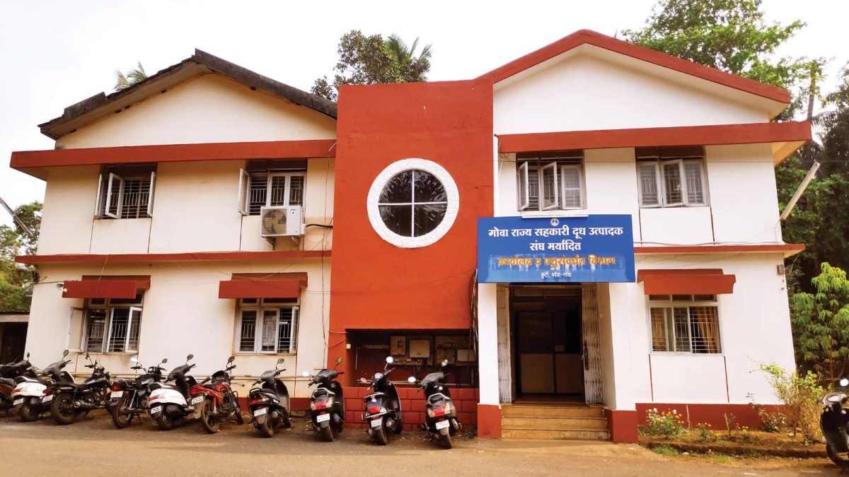 The Big "Fat" Cattle-feed Scam of Goa Dairy? - Goemkarponn - Goa News